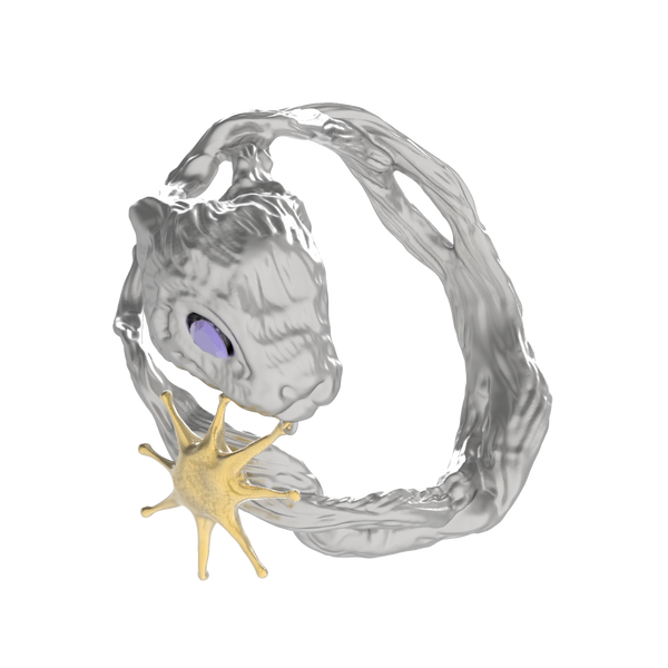 Ancient Future Silver Lucky Rabbit Ring with Stars – APOC STORE