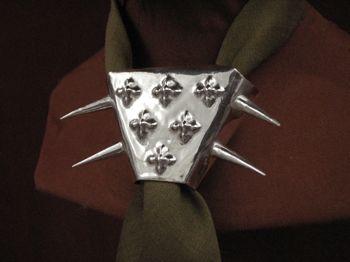 ZWYRTECH Silver Tie Guard – APOC STORE