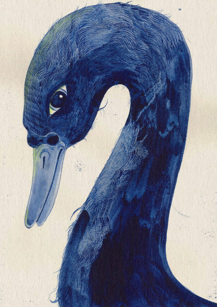 Devils Claws THE SWAN – APOC STORE