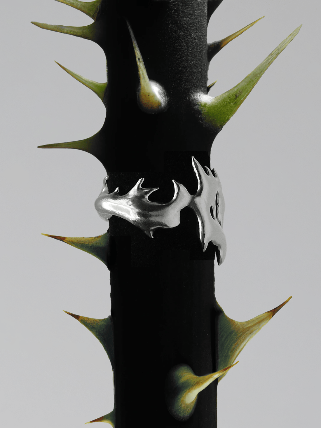 Mantis Thorns Ring – APOC STORE