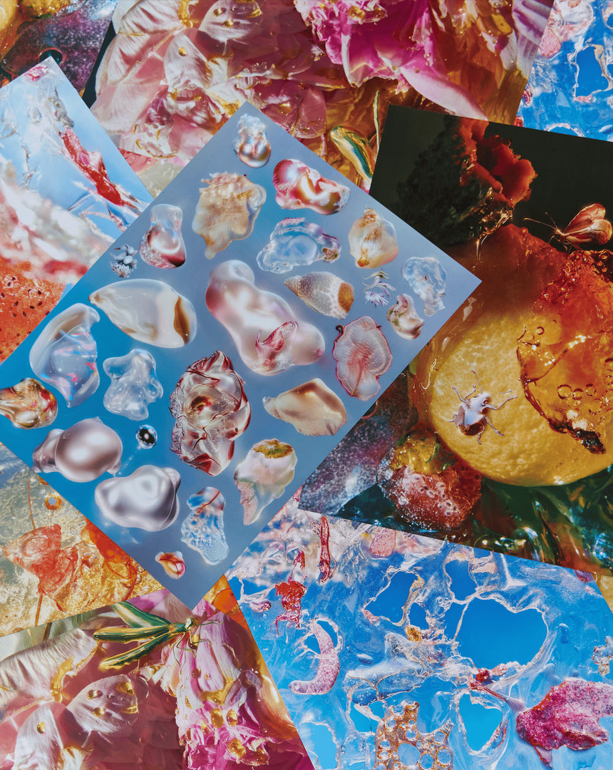 Alex Valentina I POLLUTE MY WAY TO BEAUTY – APOC STORE