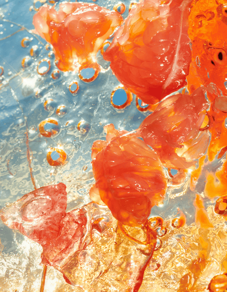 Alex Valentina IMPOSSIBLE TO ORDER THE SEASONS – APOC STORE