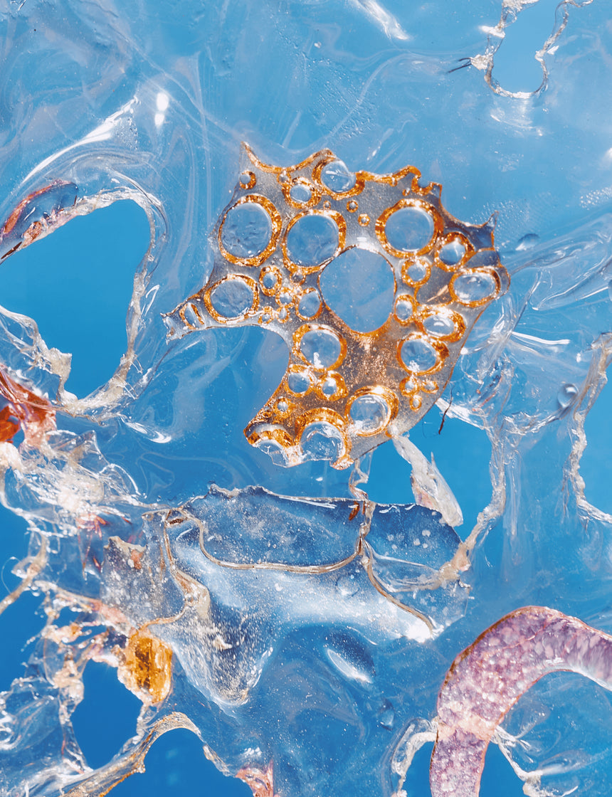 Alex Valentina I POLLUTE MY WAY TO BEAUTY – APOC STORE