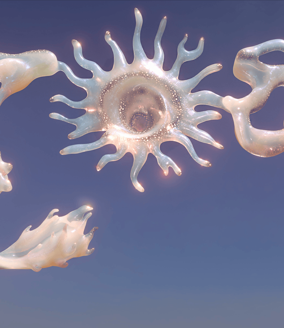 Ida Lissner enter – APOC STORE