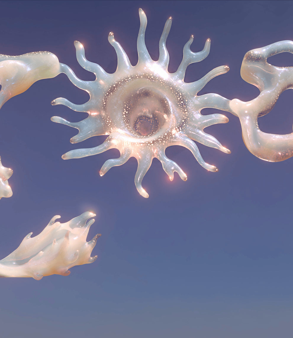 Ida Lissner enter – APOC STORE