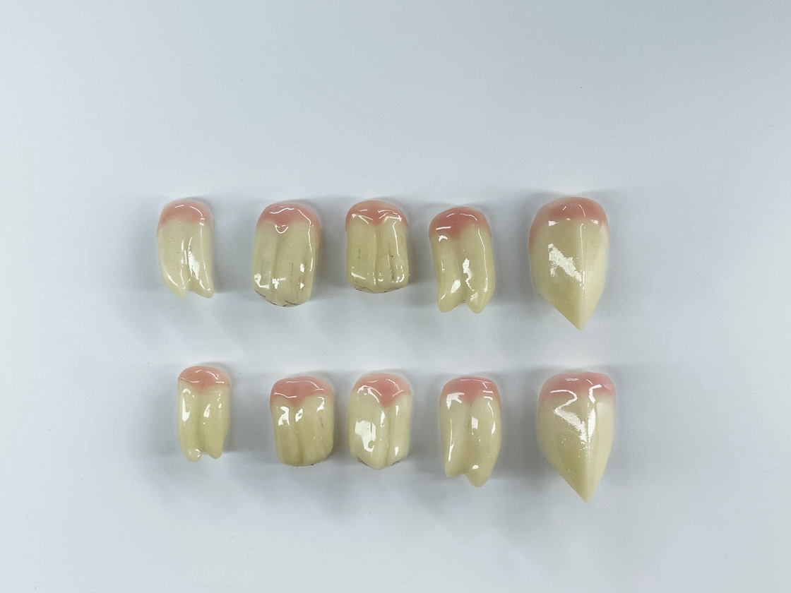 Raw Nails "TEETH WITH GUMS“ – APOC STORE