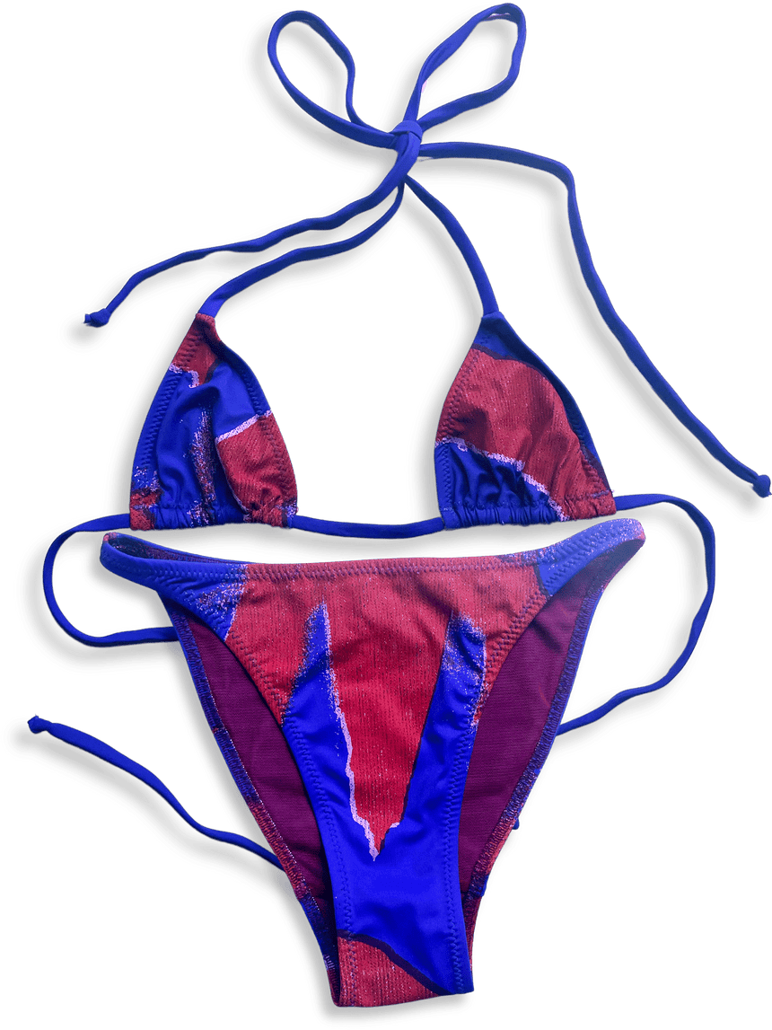 emsah Paint Bikini - Grapes – APOC STORE