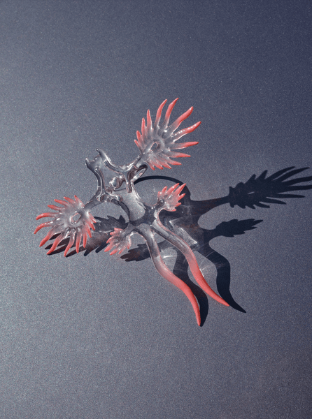 LOKI DOLOR Transparent Nudibranch Ring – APOC STORE